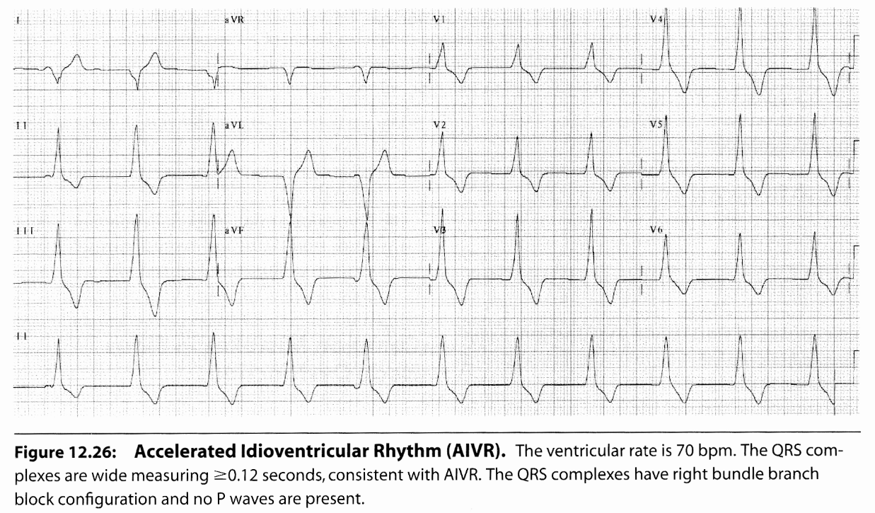 Test Page. Yoshifumi Tanaka